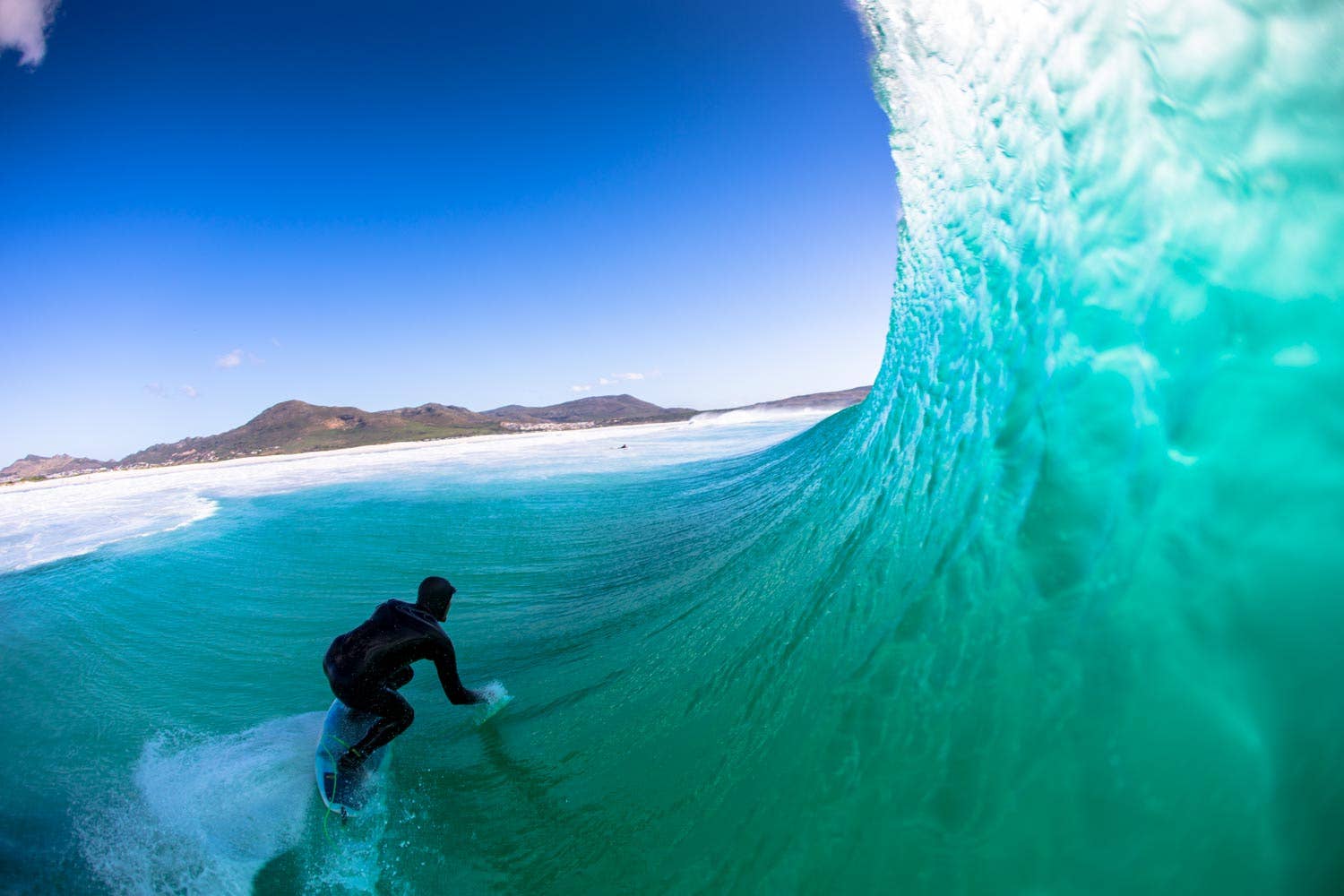 Penguin Hugs Surfers In South Africa (Video) - Surfer