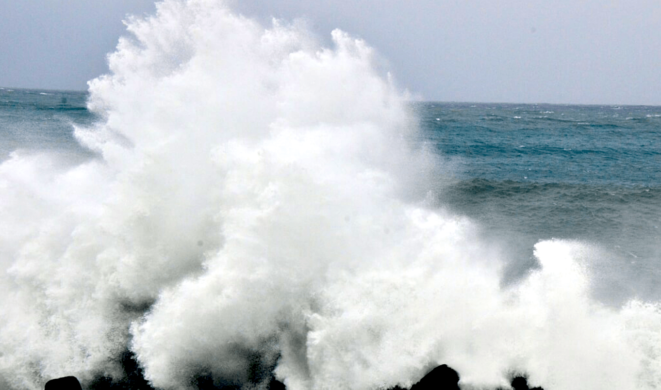 How To Survive a Shark Attack and Stay Safe From Sharks - Surfer