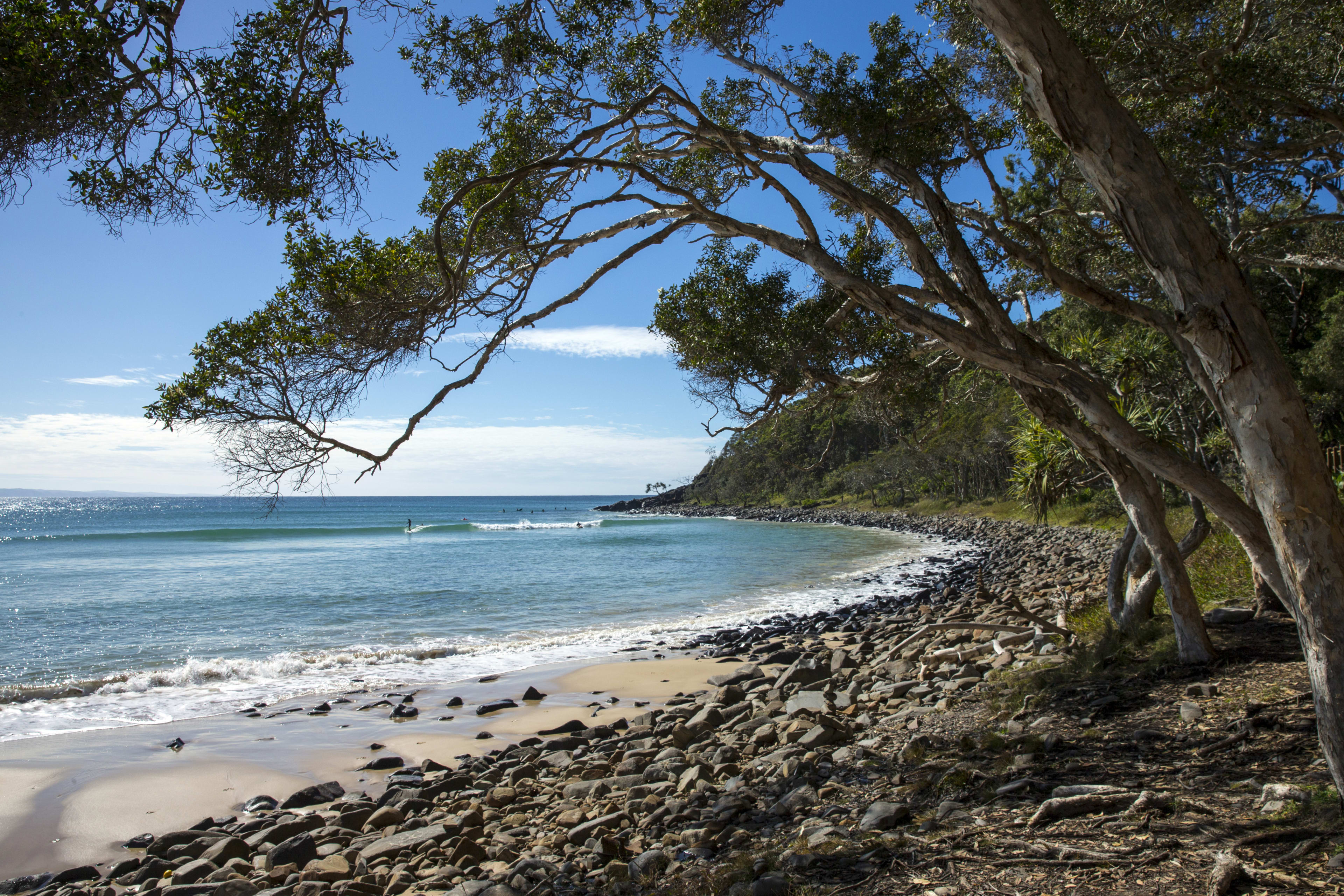 Surfing Lingo 101: What Does It Mean To Hang Ten? - Surfer