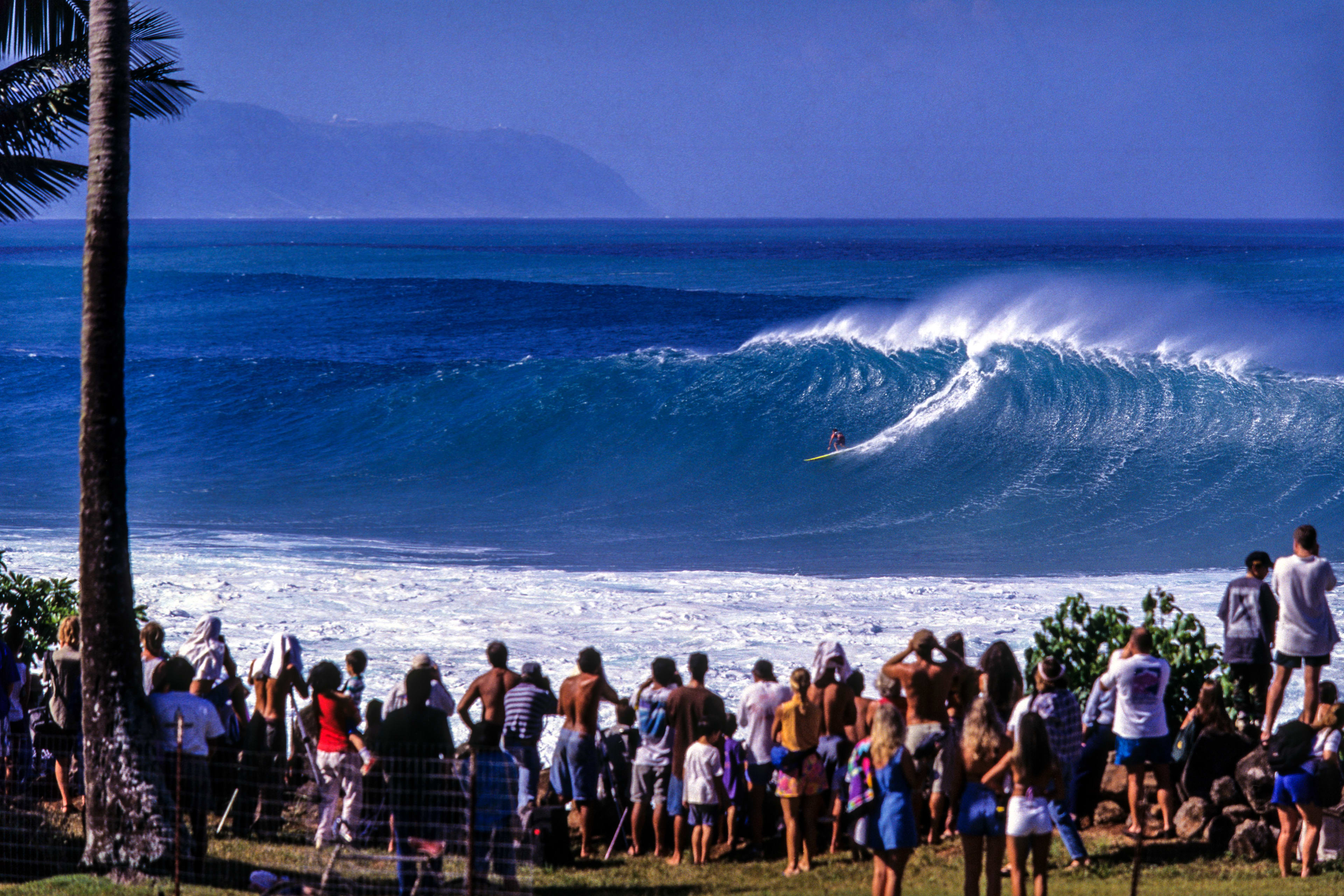 New Film Examines the Life of Legendary Surfboard Shaper Dick Brewer ...
