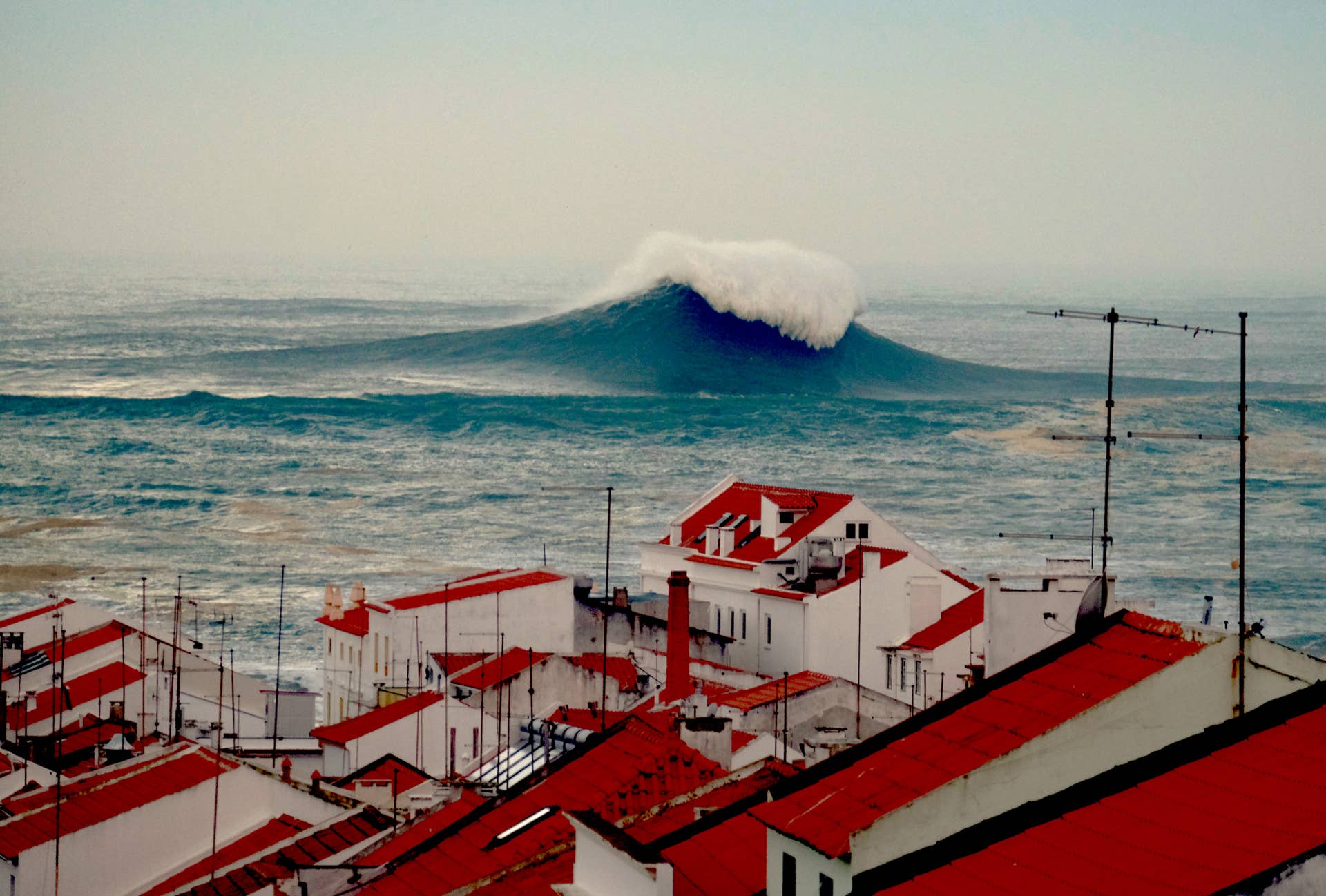 Big Waves, Big (Underwater) Business: Nazaré Regenerative Seaweed Farm ...