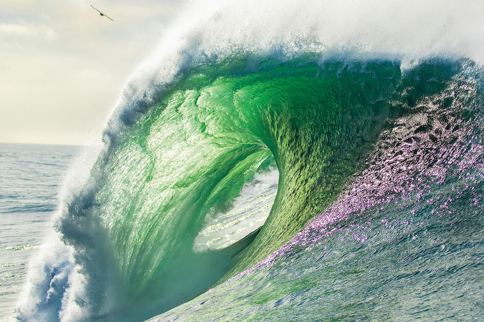 How a Maverick's Photographer Saved Shane Dorian's Life - Surfer