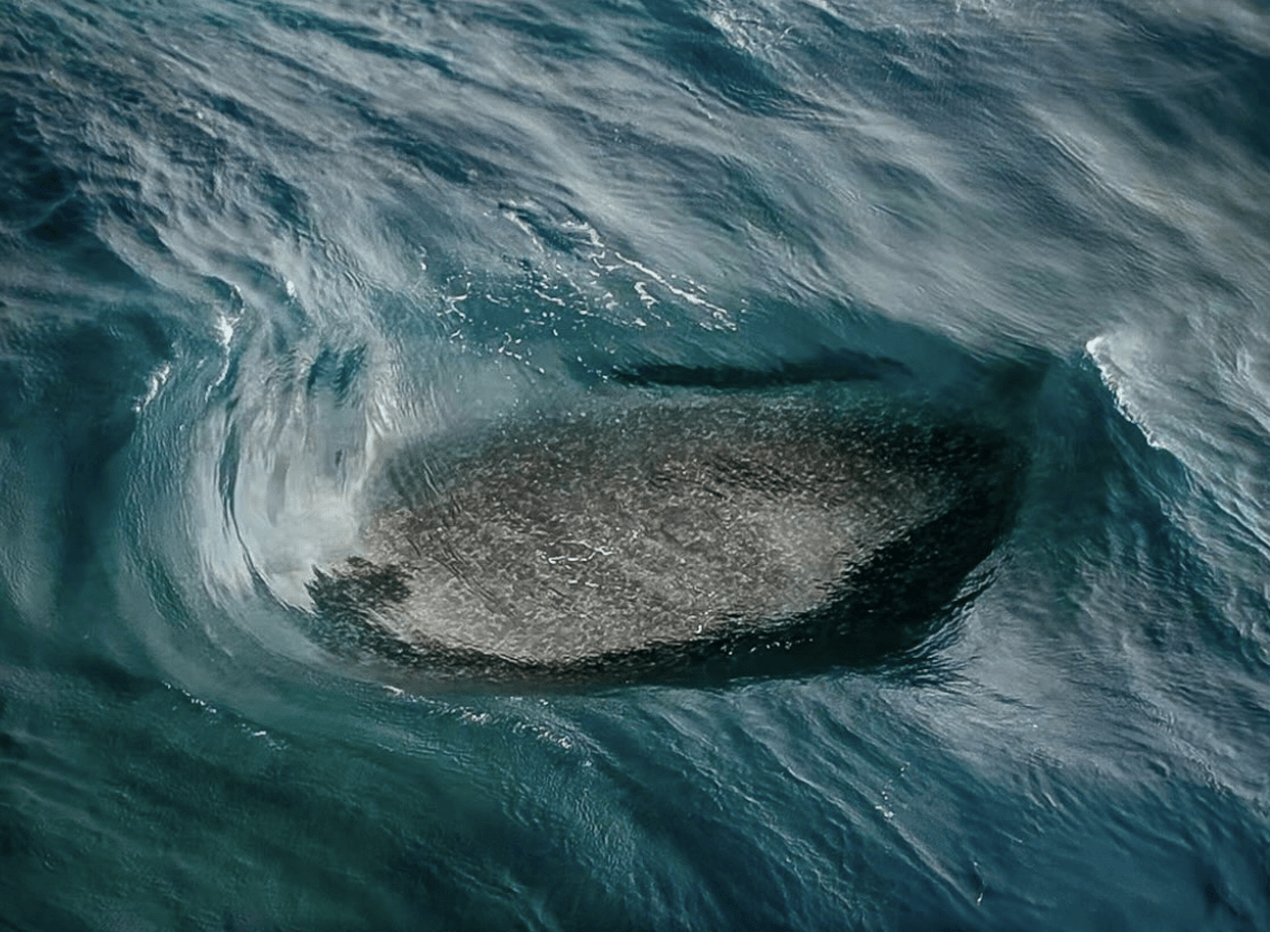 Surfers Baffled by Ocean Vortex: ‘A Wave That Shouldn’t Exist’ (Video ...