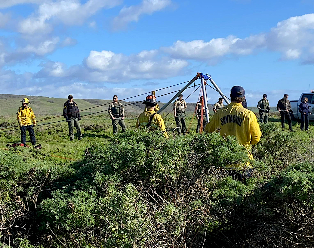 Body Found, Possibly Shark Attack Victim in Northern California - Surfer