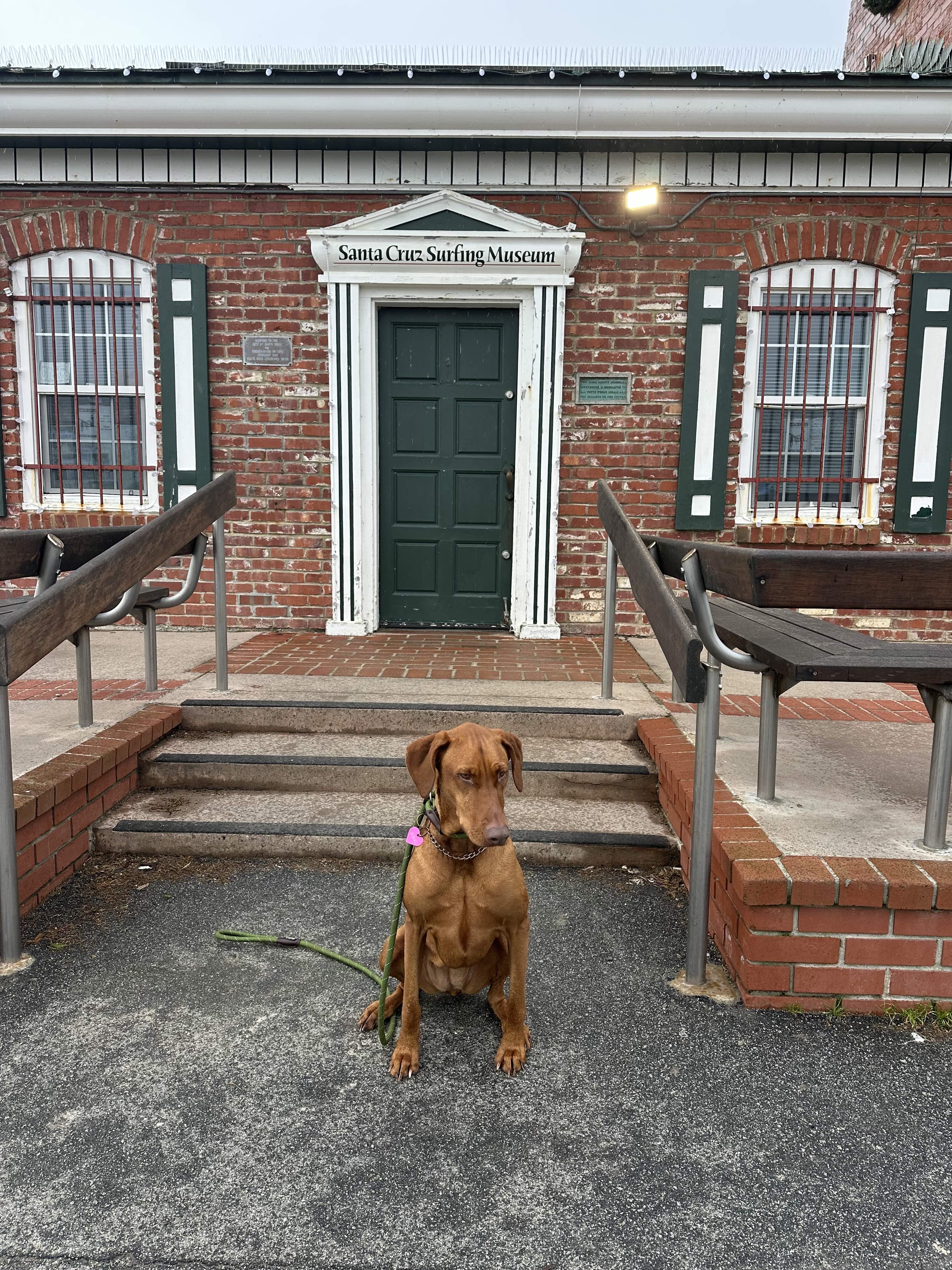 When the Surf Goes Flat, Santa Cruz Still Shines - Adventure Sports Network