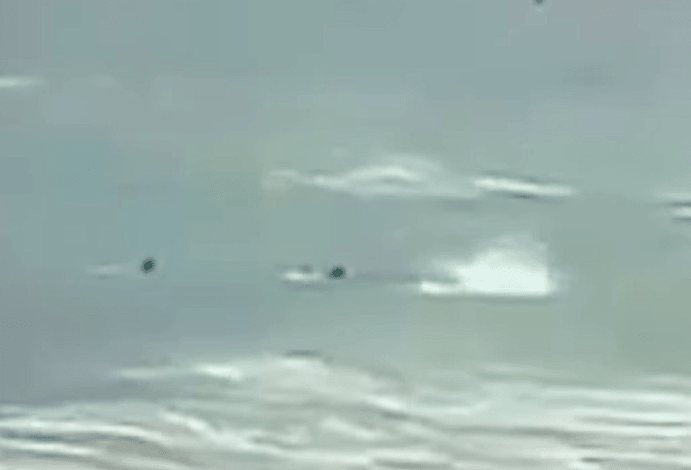 Shark Attack Caught on Camera in Sydney, Surfer ‘Fighting for His Life ...