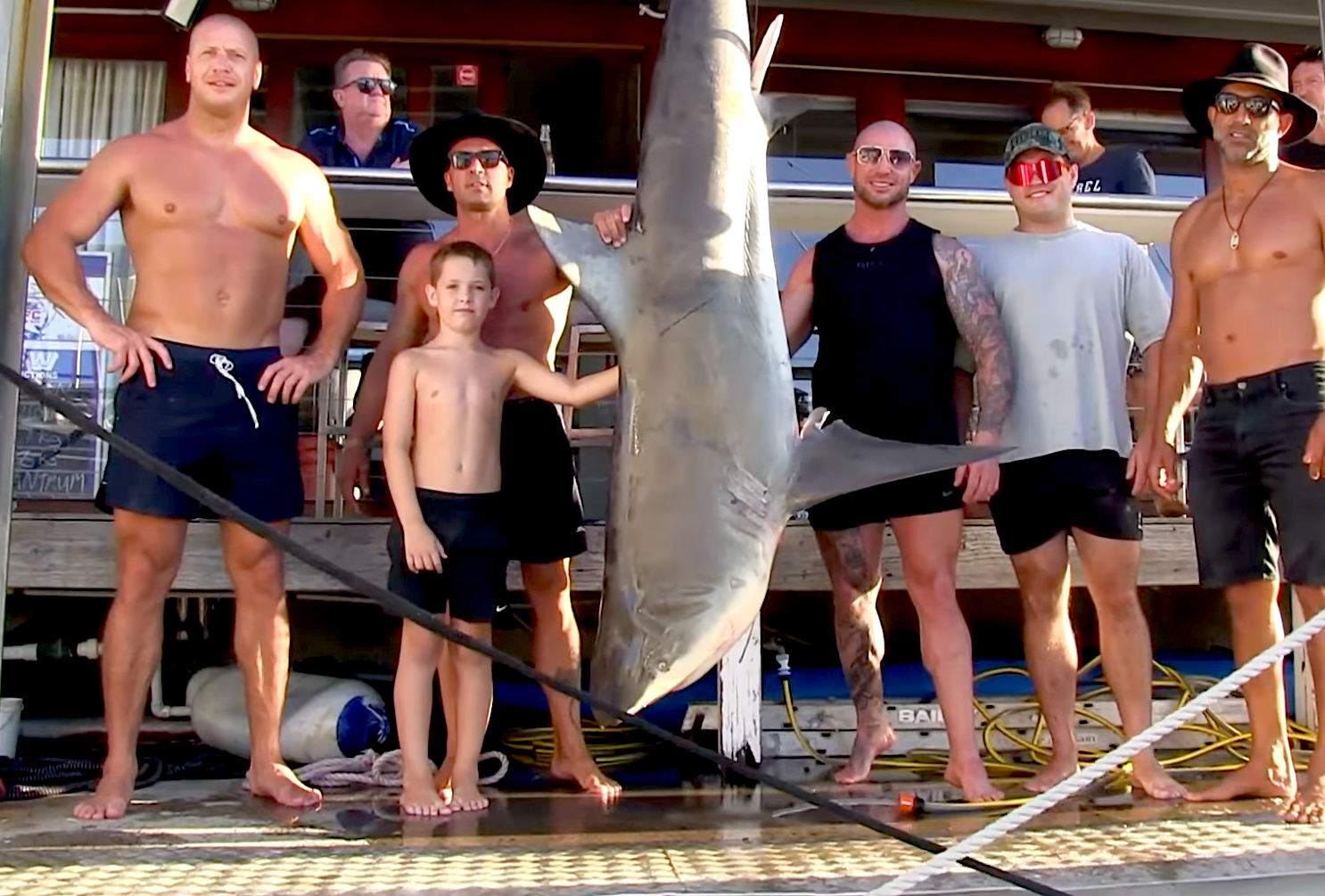 330-Pound Bull Shark Caught Near Deadly Australia Attack (Video) - Surfer