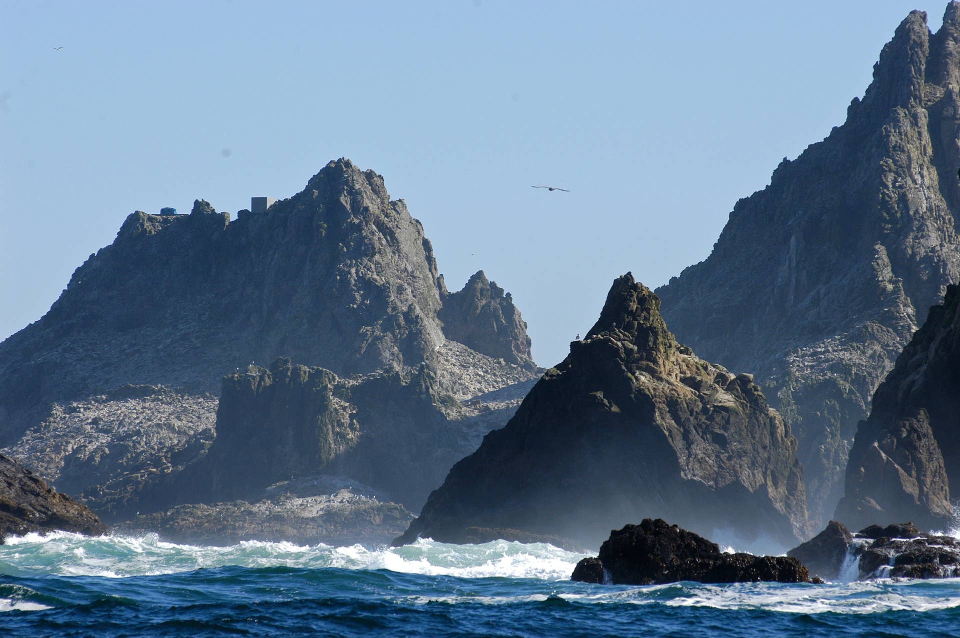 Scientists Are Studying the Sharkiest Waters in California - Surfer