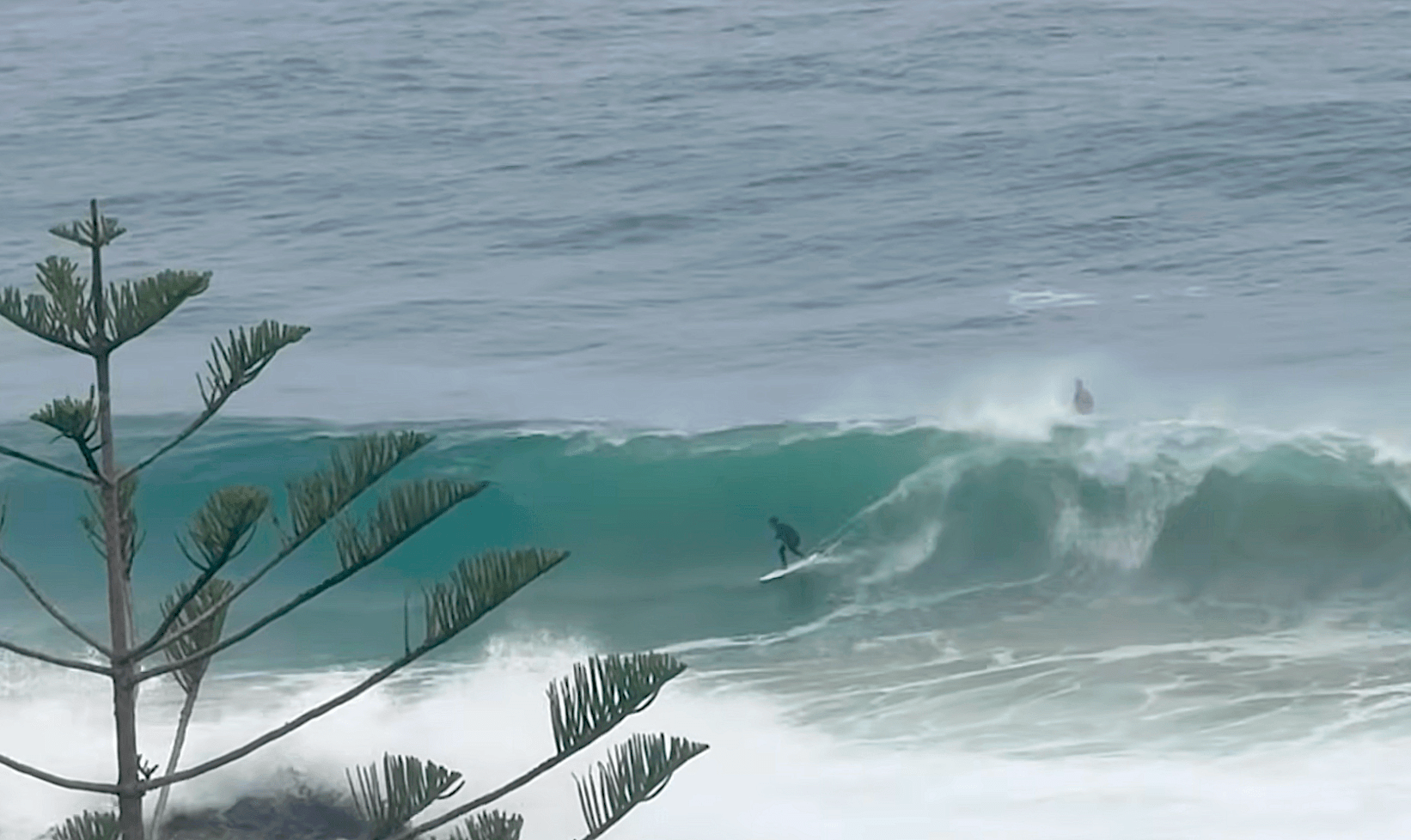 Surfers Score Empty Snapper Rocks After Sharknado (Video) - Surfer