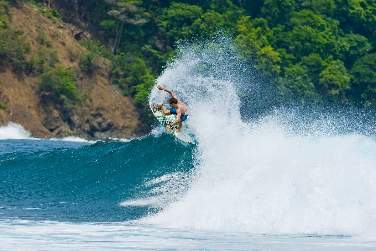Barkeep…Another Round! ­— Torrey Meister - Surfer