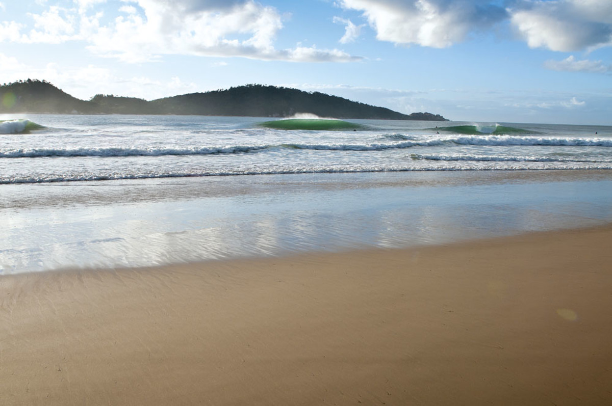 The Brazilian Spring - Surfer